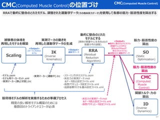 OpenSIM 筋骨格シミュレーション 基本の解析マニュアル | PDF