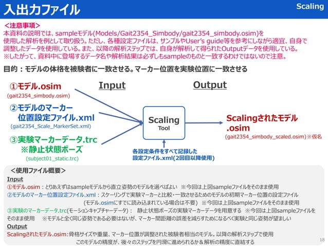 OpenSIM 筋骨格シミュレーション 基本の解析マニュアル(改訂1)) | PPTX | Computer Software and Applications | Computing
