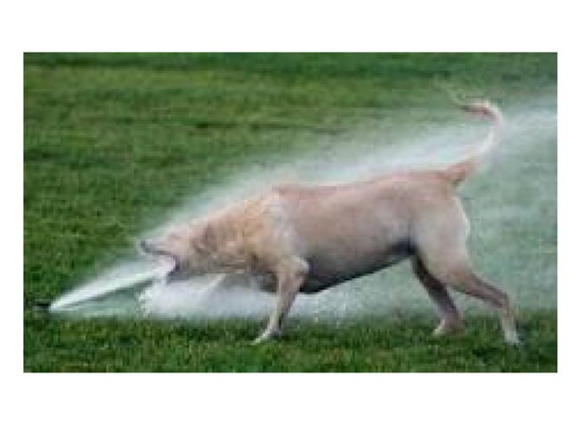 Open Source BI Overview | PDF | Databases | Computer Software and Applications