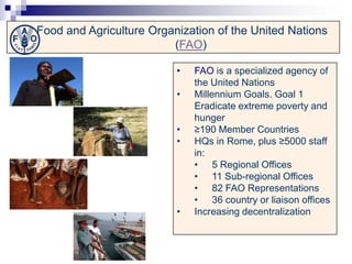 Open source @ FAO - Rachele Oriente | PPTX