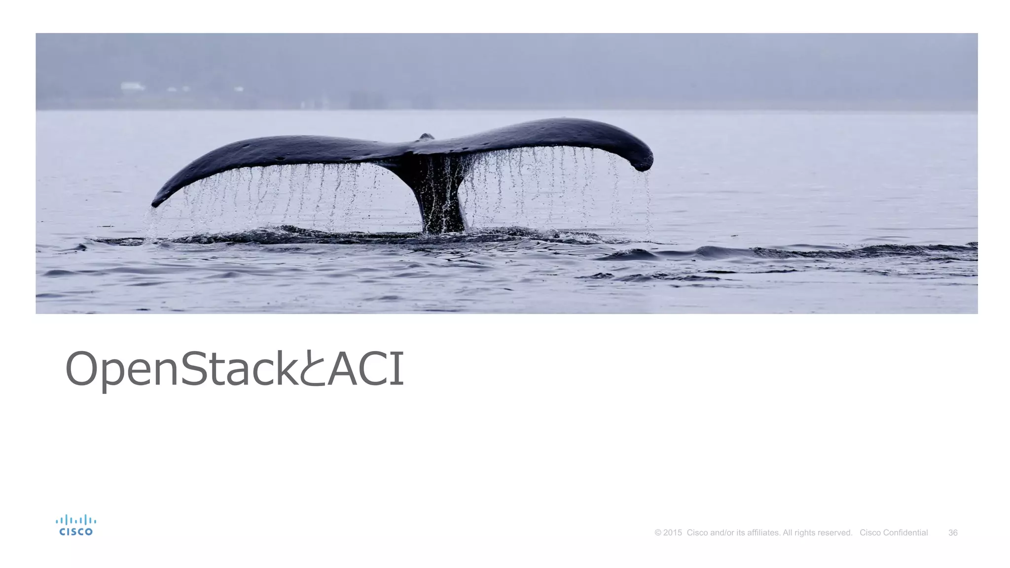 OpenStack and ACI | PPT