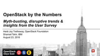 OpenStack by the Numbers | PPT
