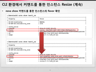 Openstack Instance Resize | PDF