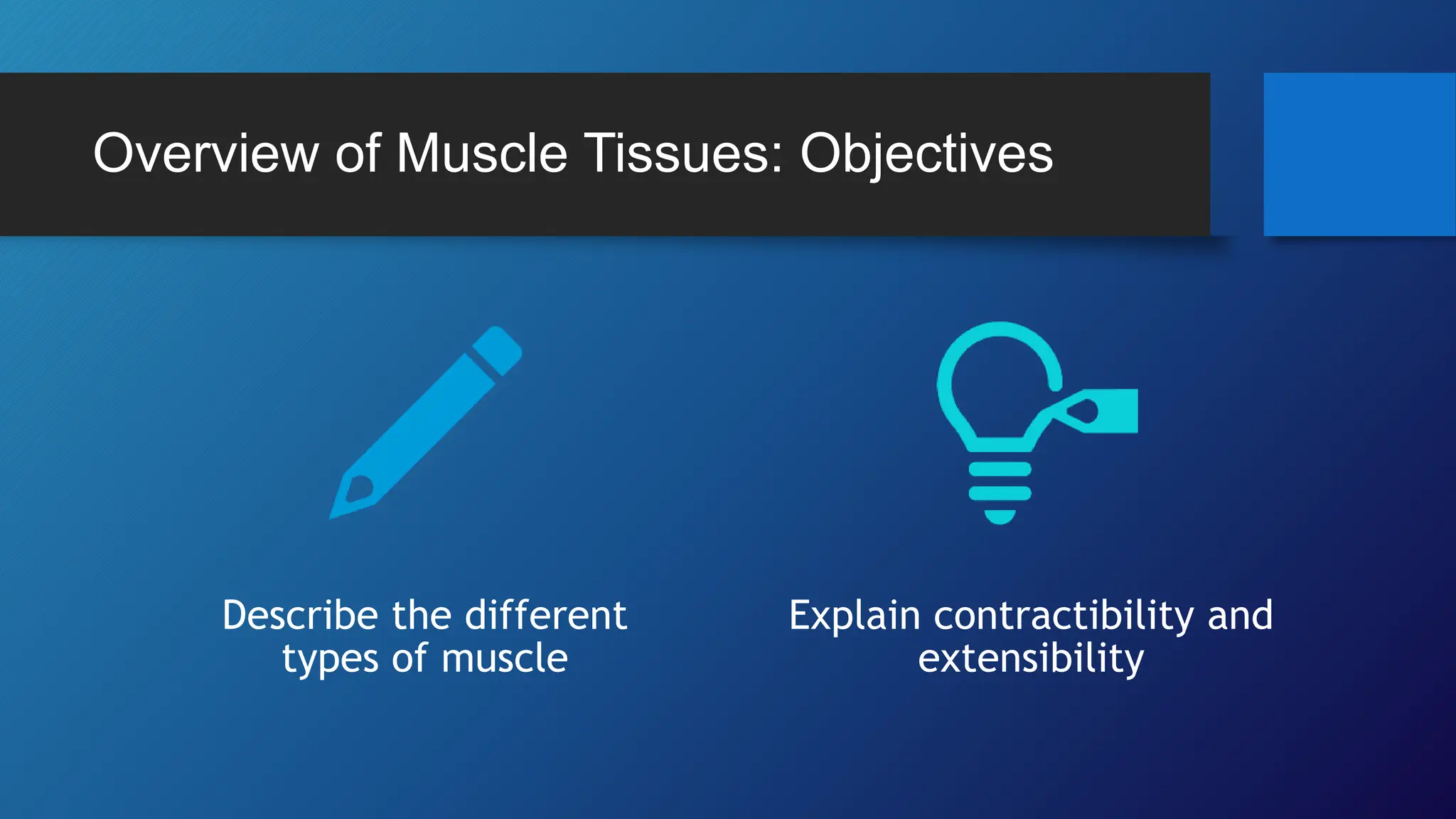 Anatomy and Physiology 2e - Chapter 10: Muscle Tissue | PPTX