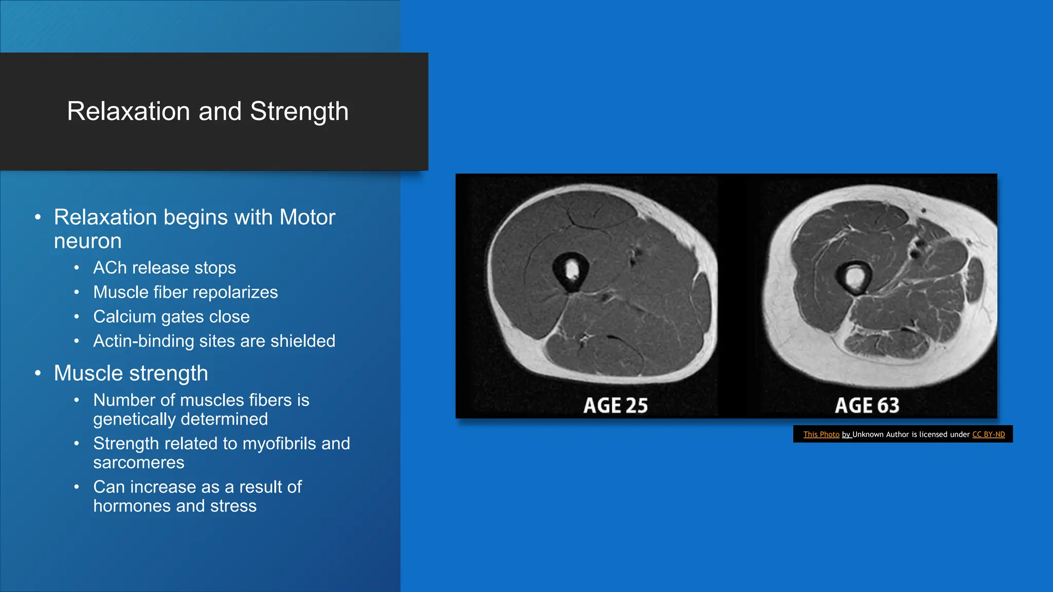 Anatomy and Physiology 2e - Chapter 10: Muscle Tissue | PPTX