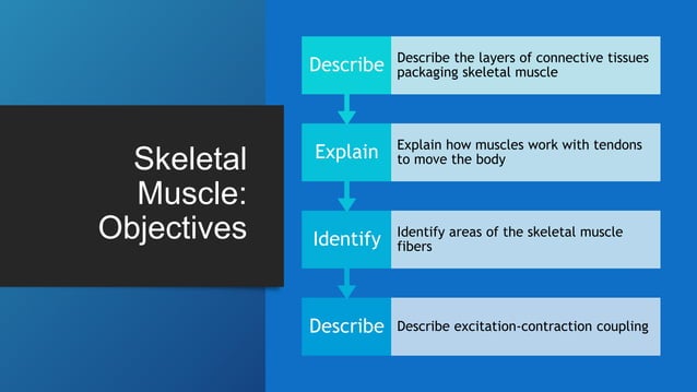 Anatomy and Physiology 2e - Chapter 10: Muscle Tissue | PPTX