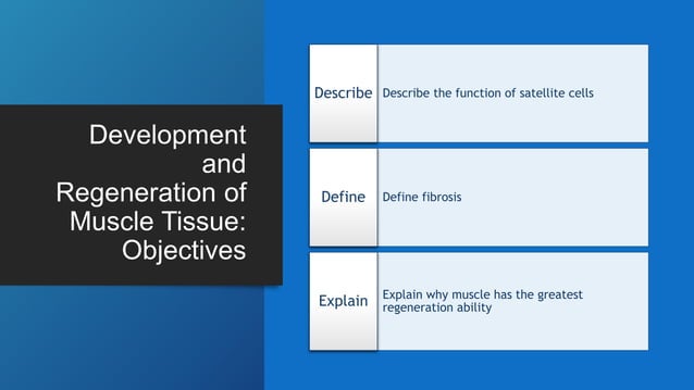 Anatomy and Physiology 2e - Chapter 10: Muscle Tissue | PPTX