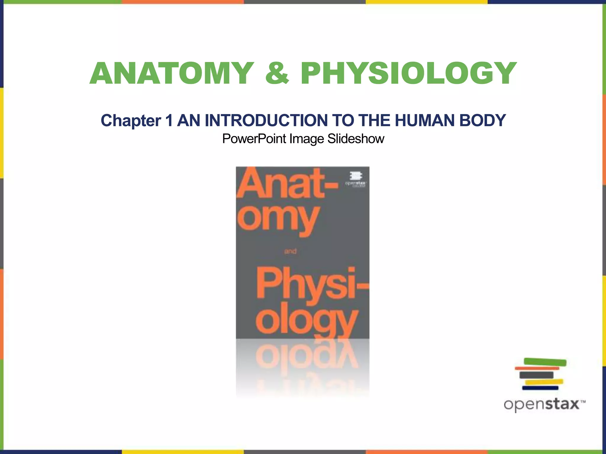 Open stax anatomy&physiology_ch01_imageslideshow | PPTX