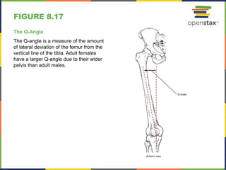 Open stax anatomy&physiology ch08 | PPTX
