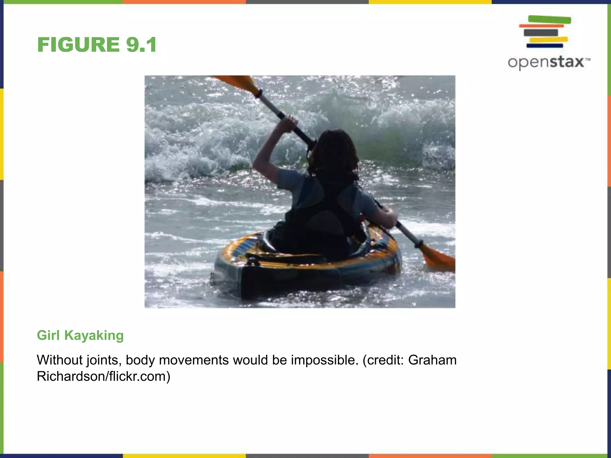 Open stax anatomy&physiology ch09 | PPTX