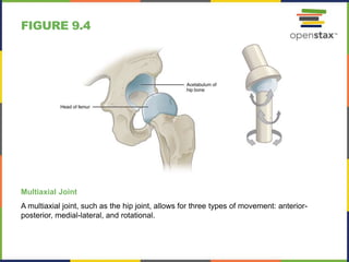Open stax anatomy&physiology ch09 | PPTX