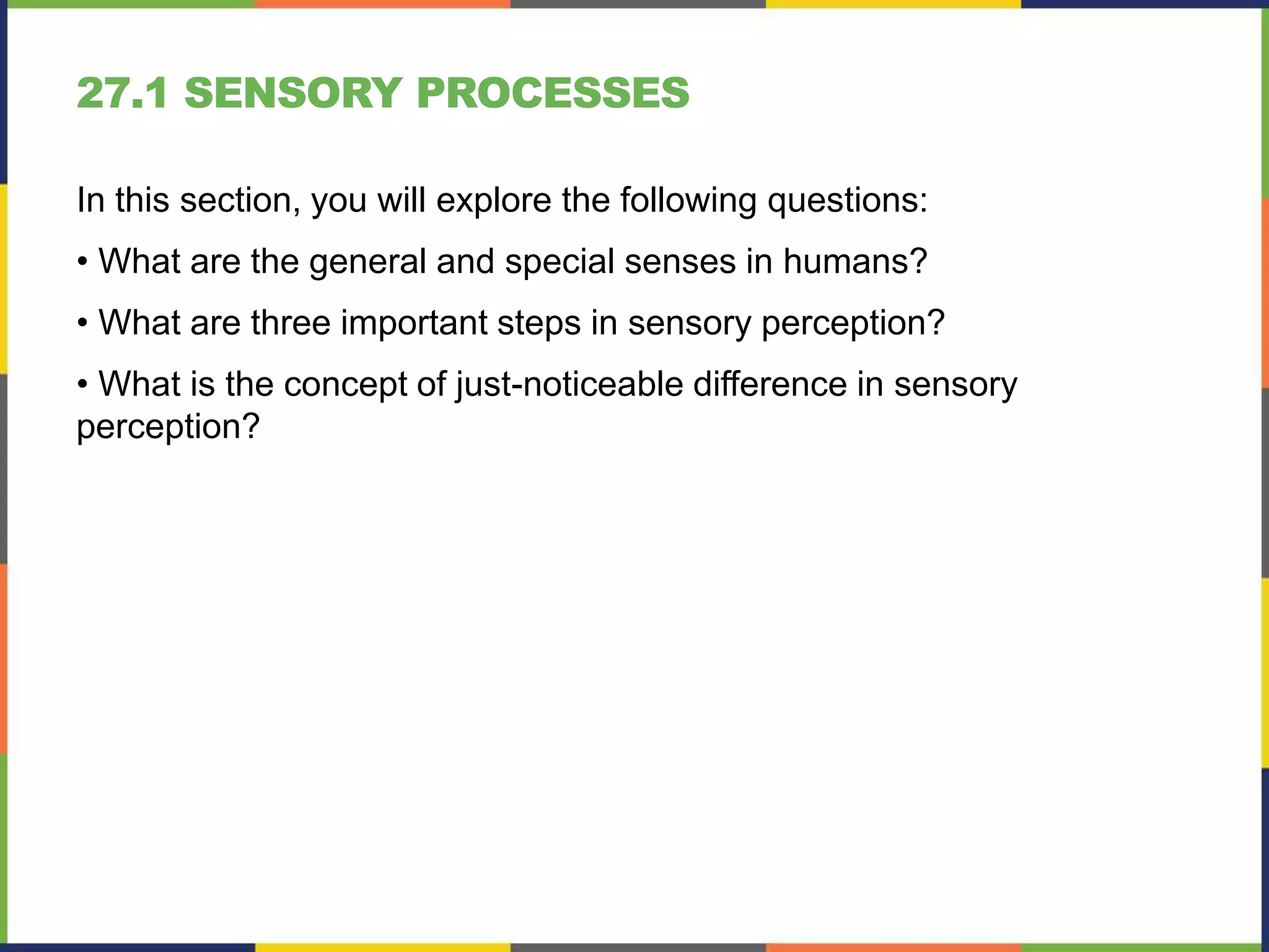 Sensory Systems - Openstax AP Biology | PPTX