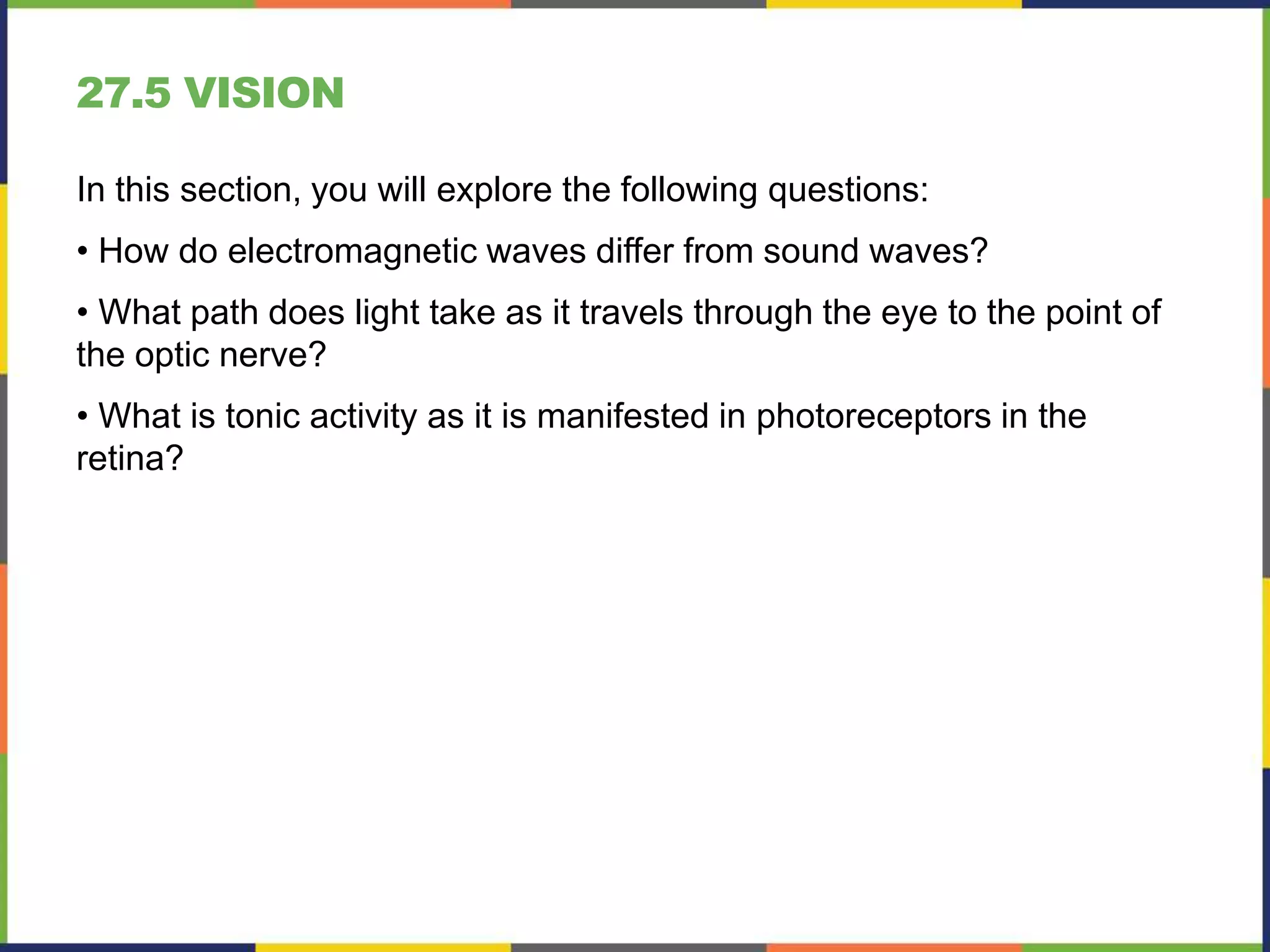Sensory Systems - Openstax AP Biology | PPTX