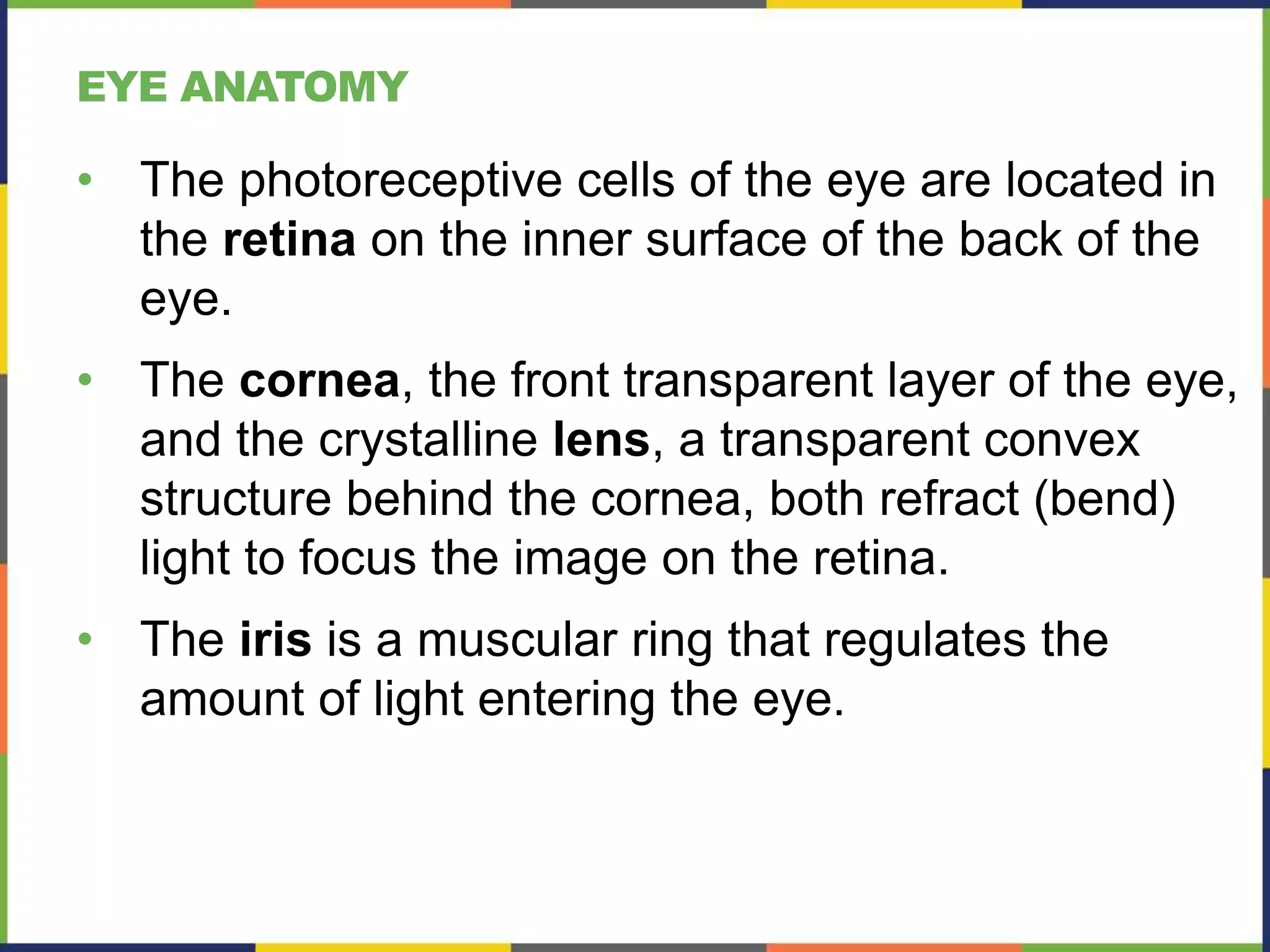 Sensory Systems - Openstax AP Biology | PPTX