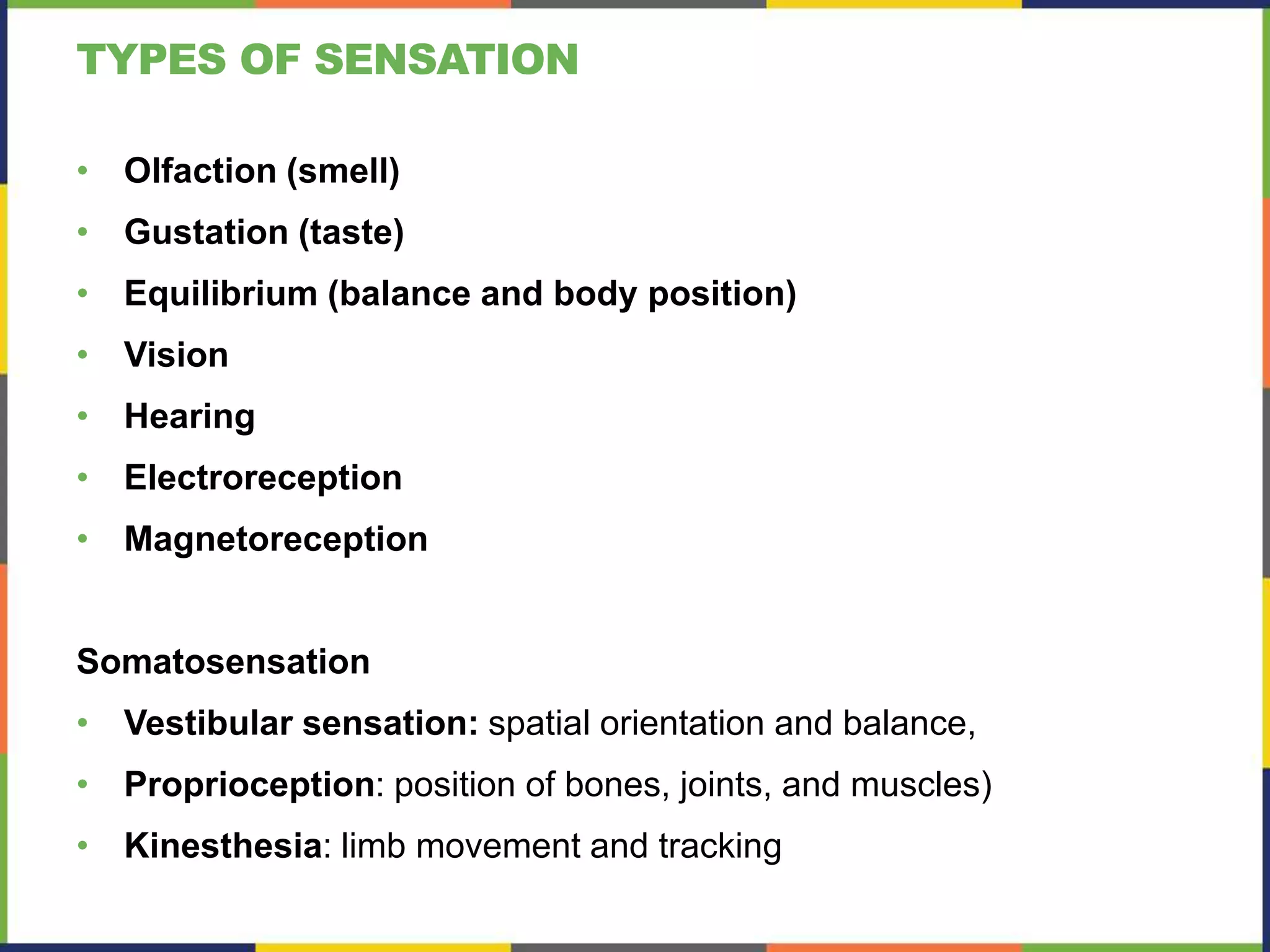Sensory Systems - Openstax AP Biology | PPTX