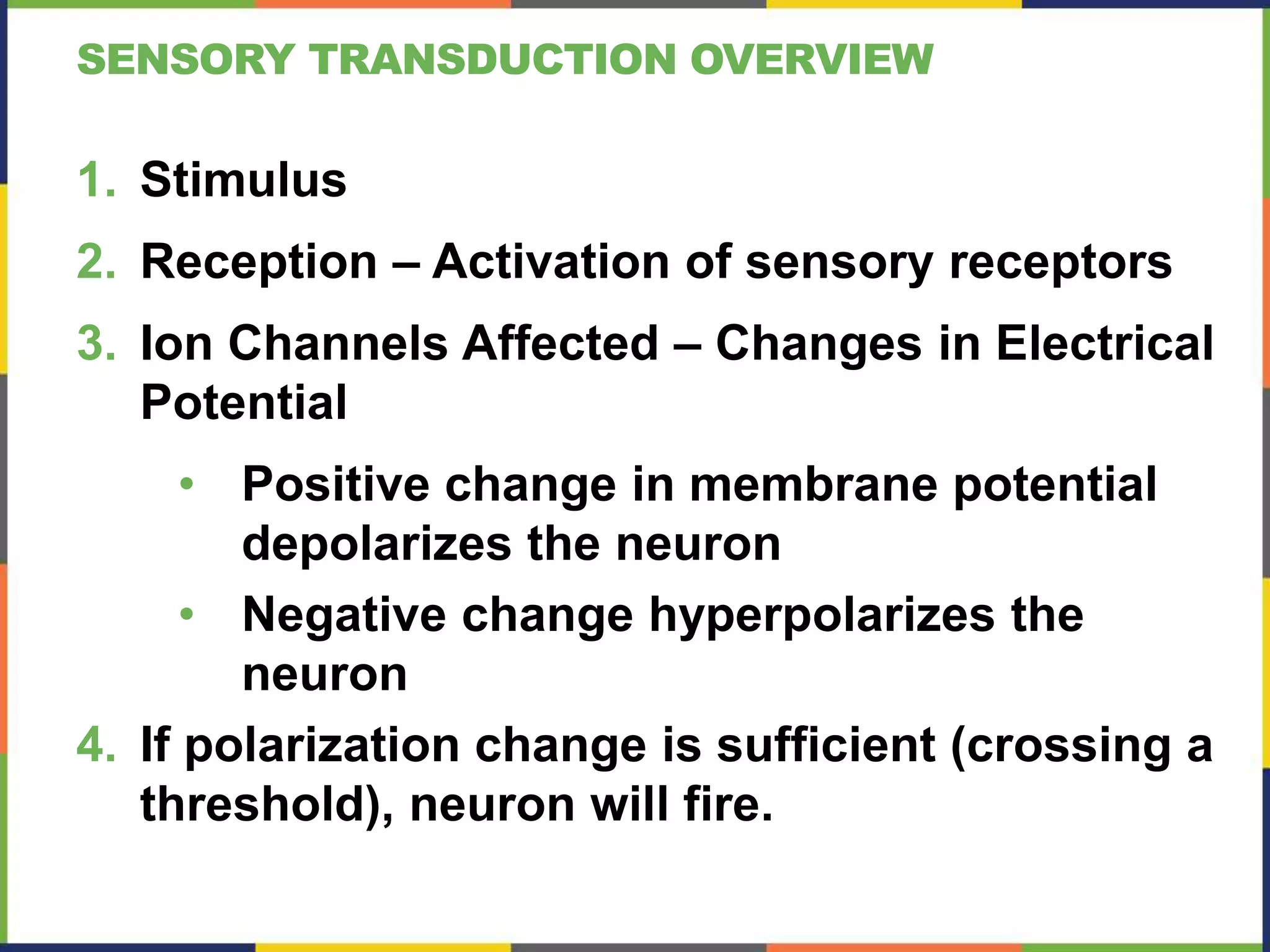 Sensory Systems - Openstax AP Biology | PPTX | Skin and Dermatology ...