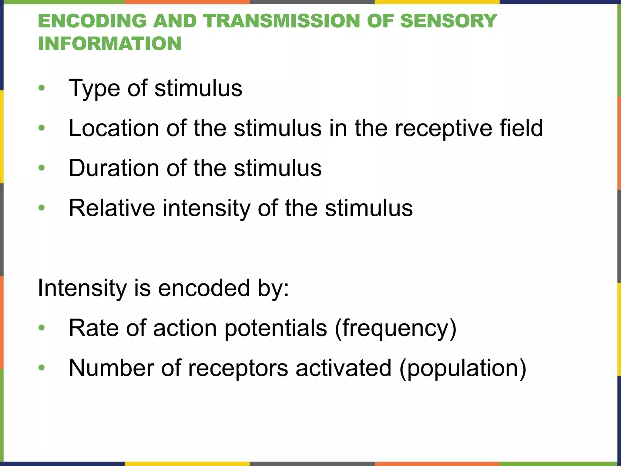 Sensory Systems - Openstax AP Biology | PPTX