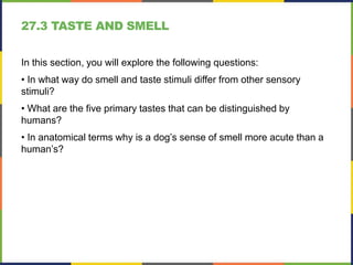 Sensory Systems - Openstax AP Biology | PPTX | Skin and Dermatology ...