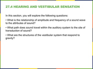 Sensory Systems - Openstax AP Biology | PPTX