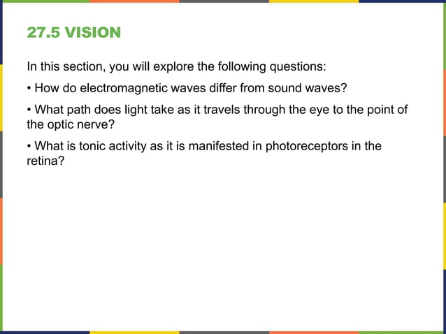 Sensory Systems - Openstax AP Biology | PPT