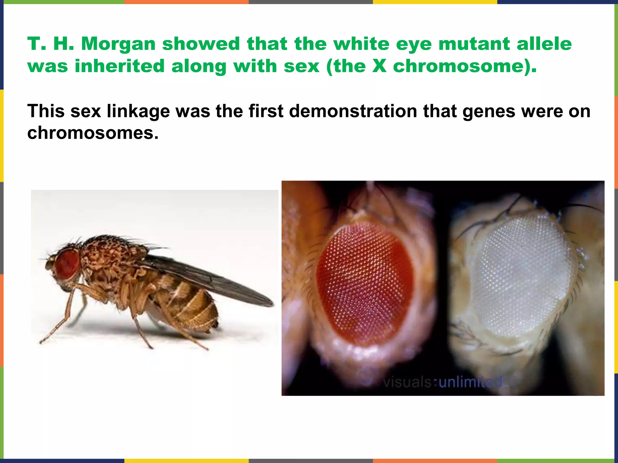openstax_biology2e_ch13.pptx