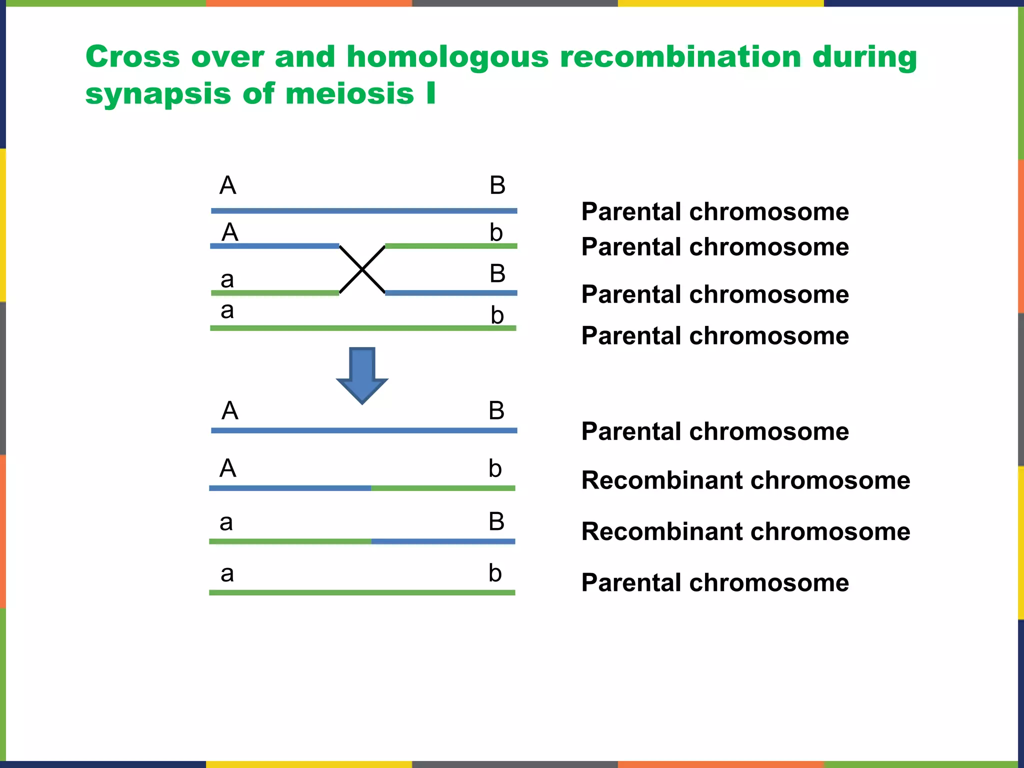 openstax_biology2e_ch13.pptx