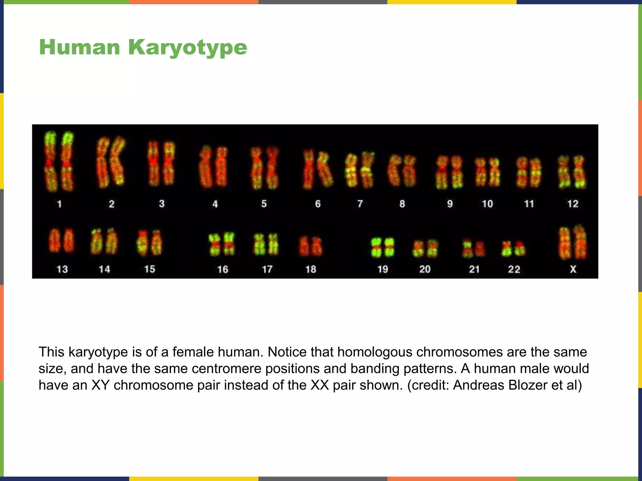 openstax_biology2e_ch13.pptx