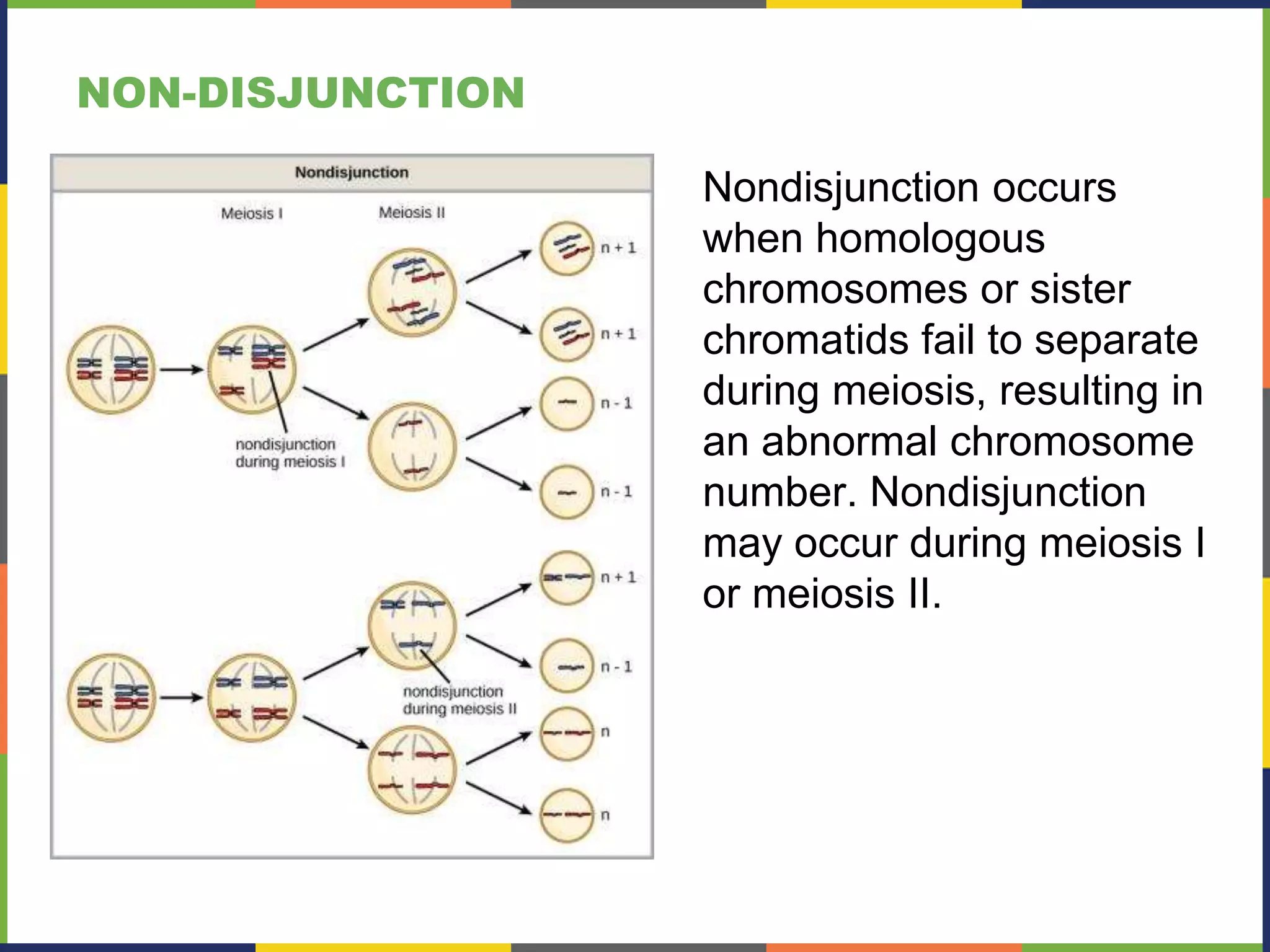 openstax_biology2e_ch13.pptx