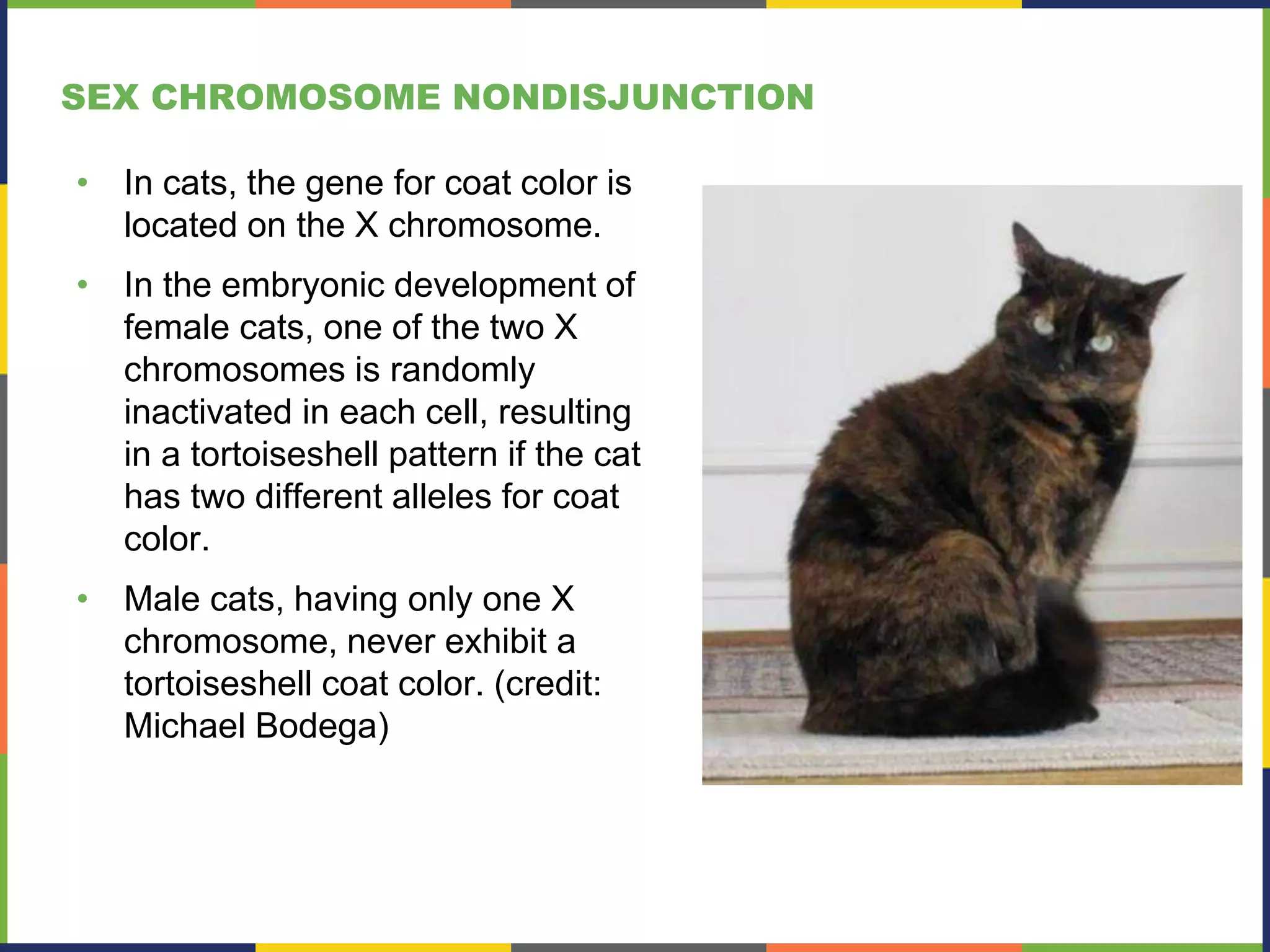 openstax_biology2e_ch13.pptx