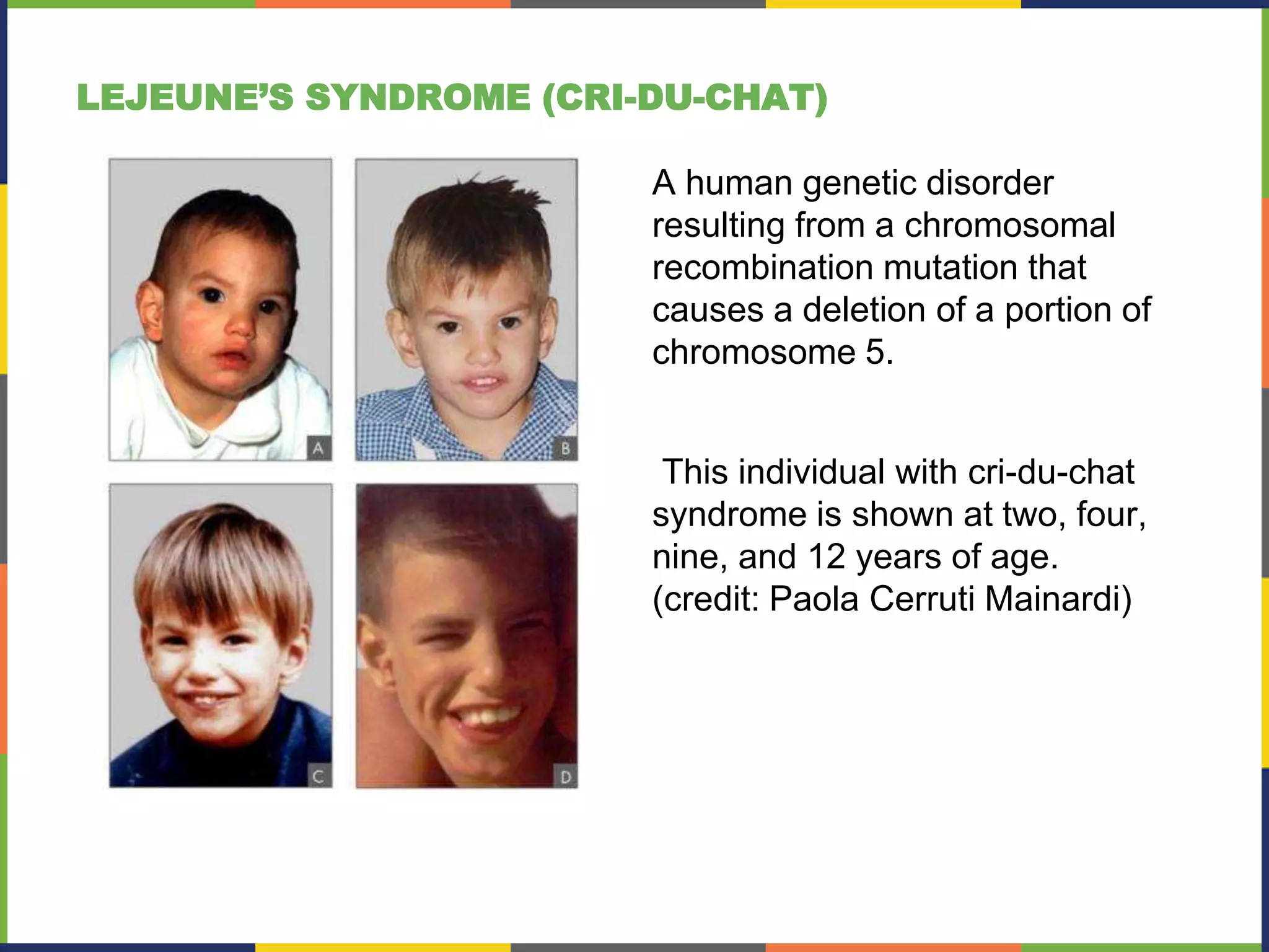 openstax_biology2e_ch13.pptx