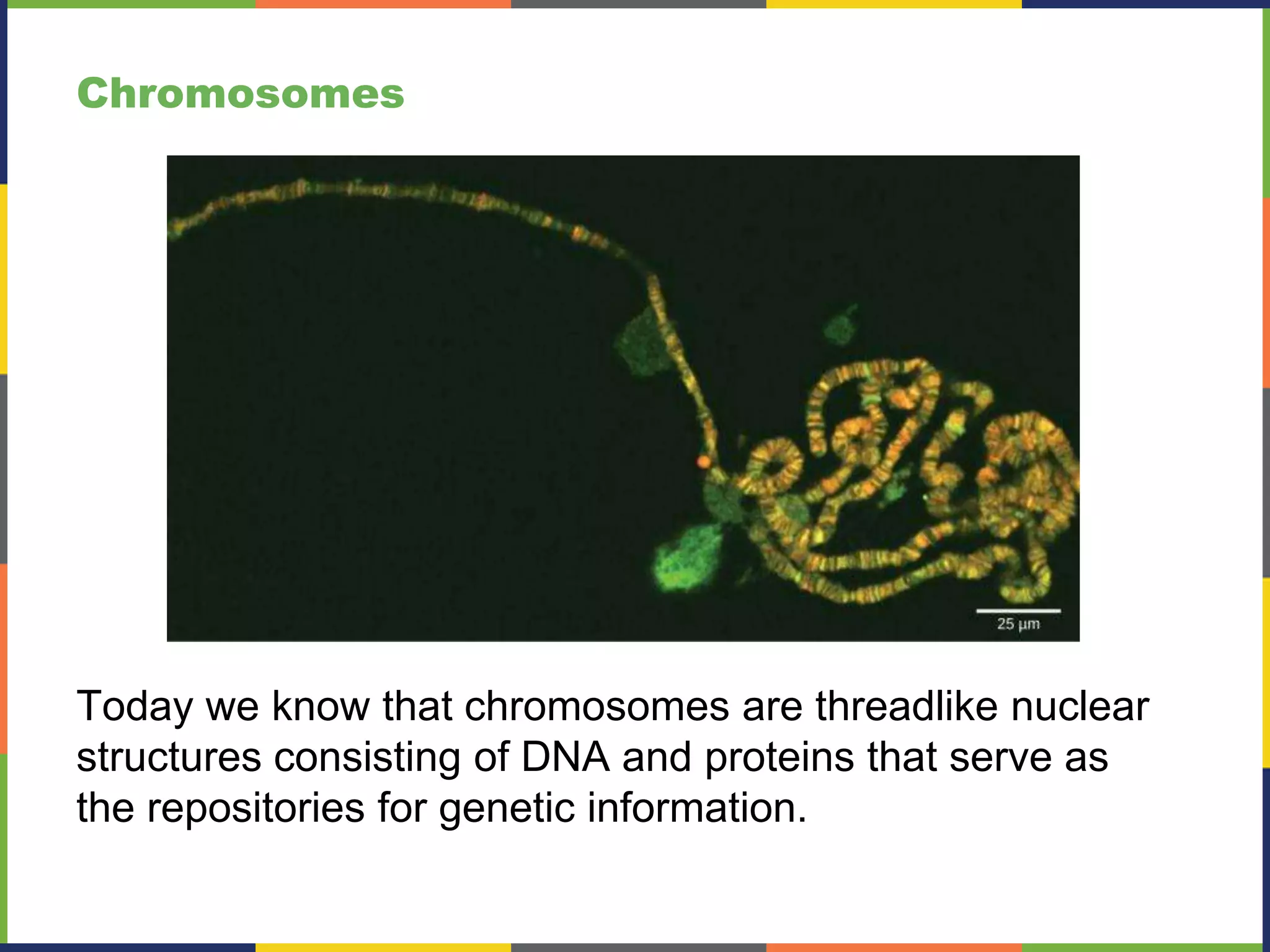 openstax_biology2e_ch13.pptx