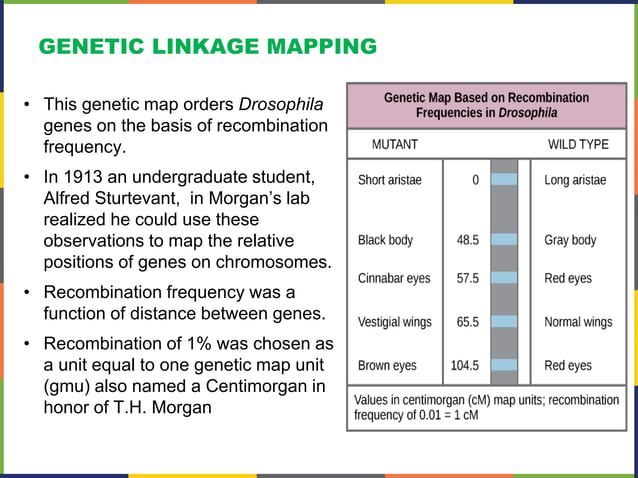 openstax_biology2e_ch13.pptx | Genetics | Science