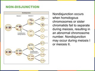 openstax_biology2e_ch13.pptx