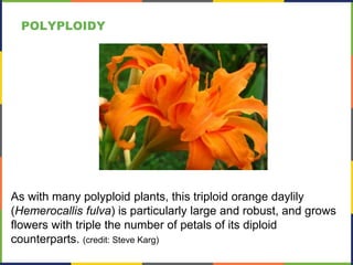 openstax_biology2e_ch13.pptx