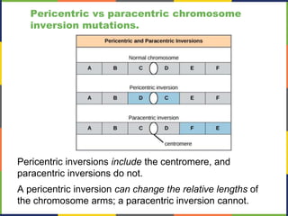 openstax_biology2e_ch13.pptx