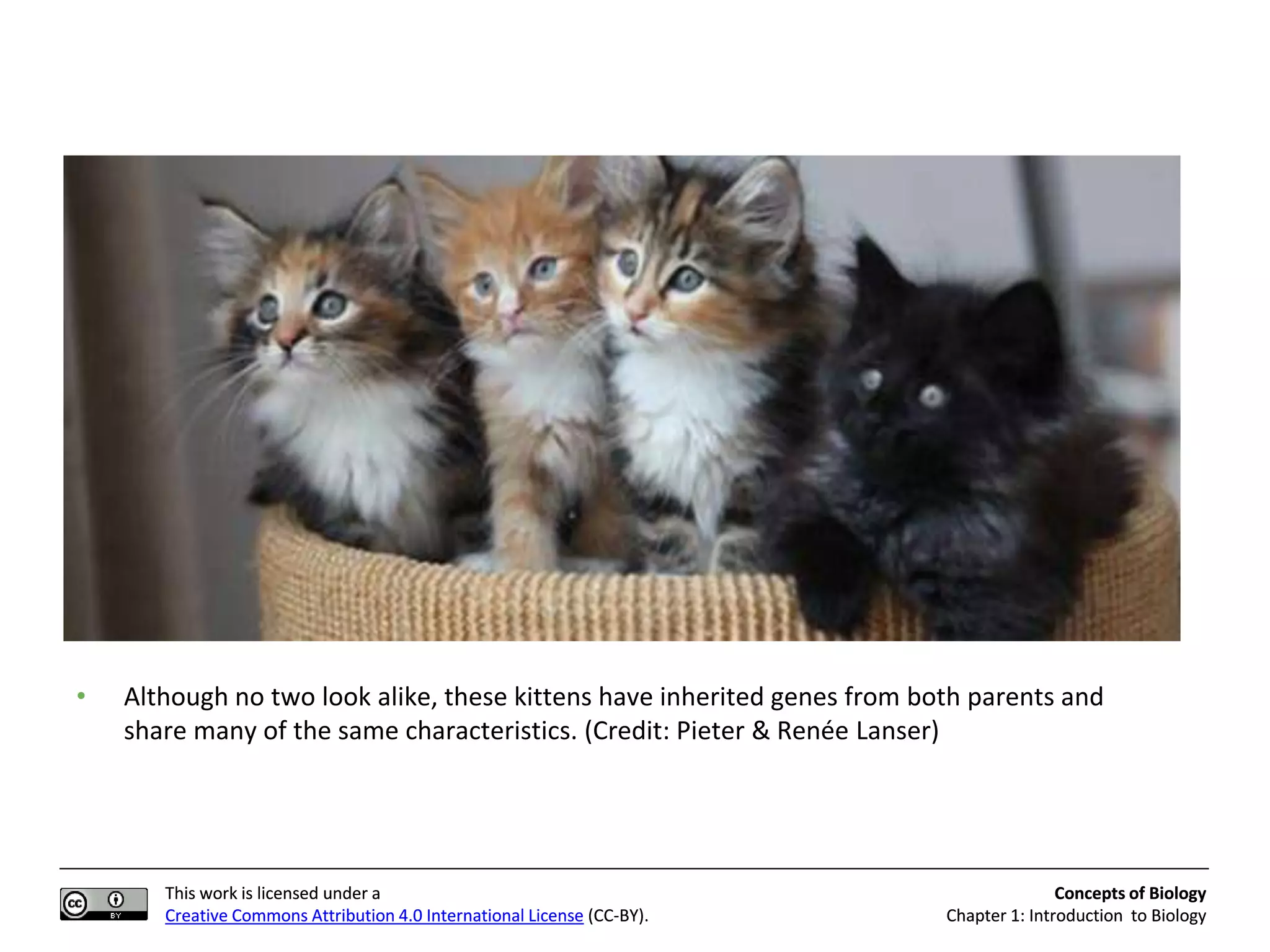 OpenStax_BiologyNonMajors_CH01_Final.pptx