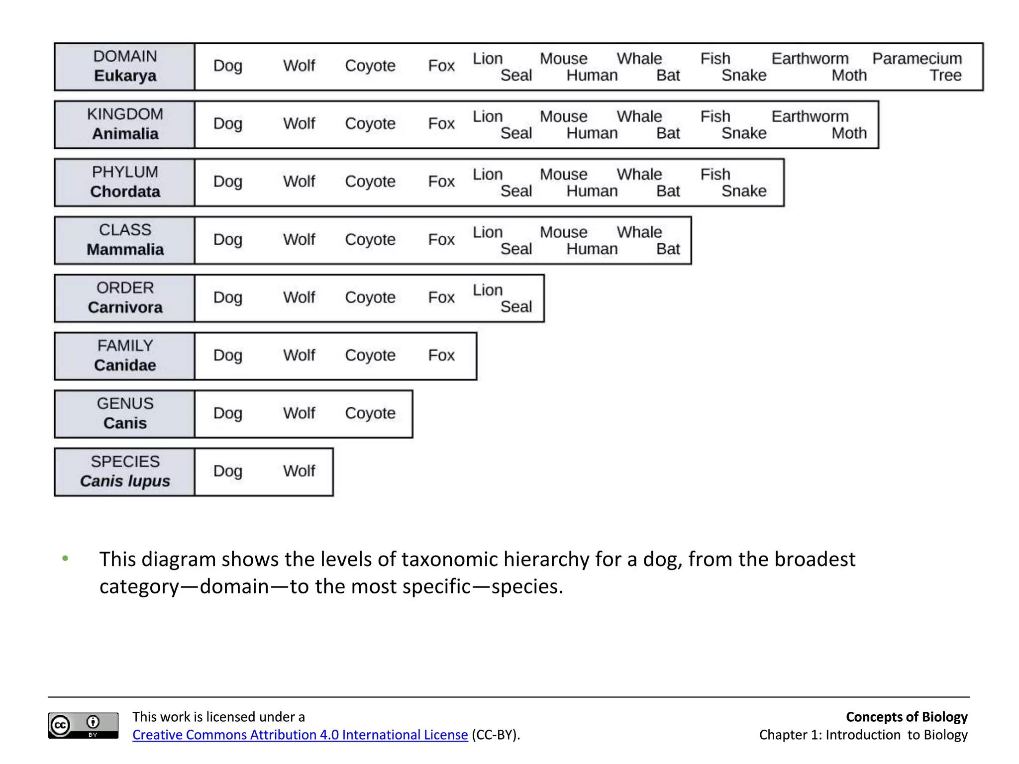 OpenStax_BiologyNonMajors_CH01_Final.pptx