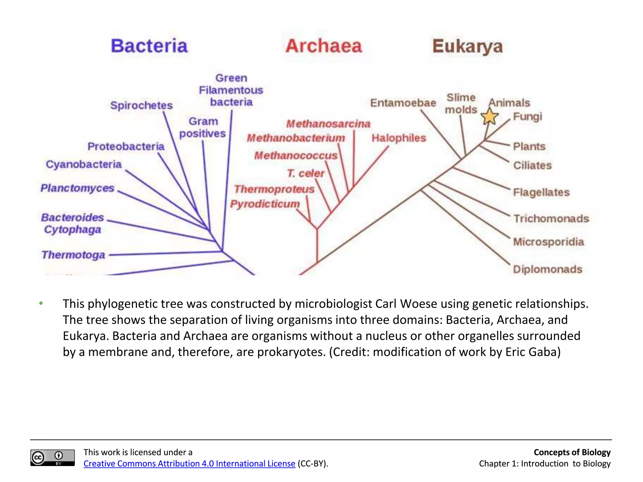 OpenStax_BiologyNonMajors_CH01_Final.pptx
