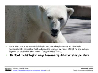 OpenStax_BiologyNonMajors_CH01_Final.pptx