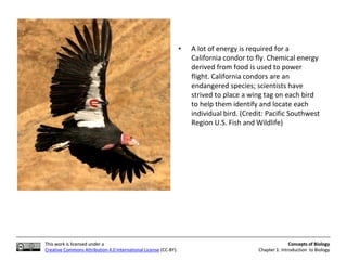 OpenStax_BiologyNonMajors_CH01_Final.pptx