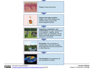 OpenStax_BiologyNonMajors_CH01_Final.pptx