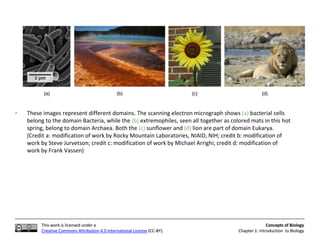 OpenStax_BiologyNonMajors_CH01_Final.pptx