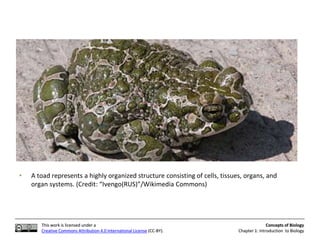 OpenStax_BiologyNonMajors_CH01_Final.pptx