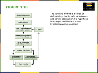 Introduction to Biology | PDF