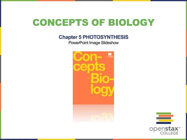 Open stax biology (nonmajors) ch05 | PPTX