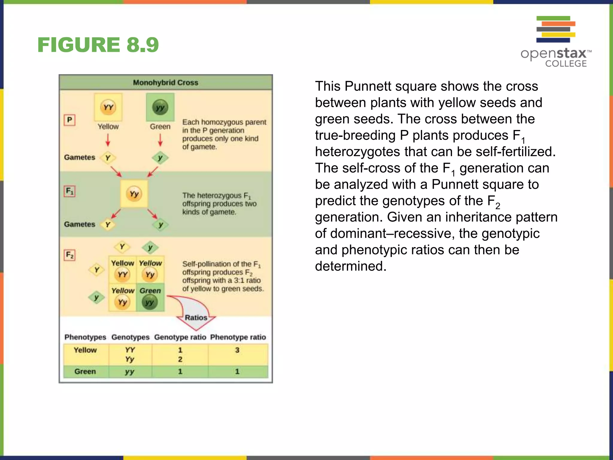 Open stax biology (nonmajors) ch08 | PPT