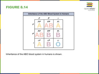 Open stax biology (nonmajors) ch08 | PPTX