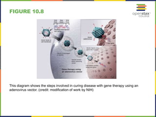 Open stax biology (nonmajors) ch10 | PPTX | Biological Sciences | Science