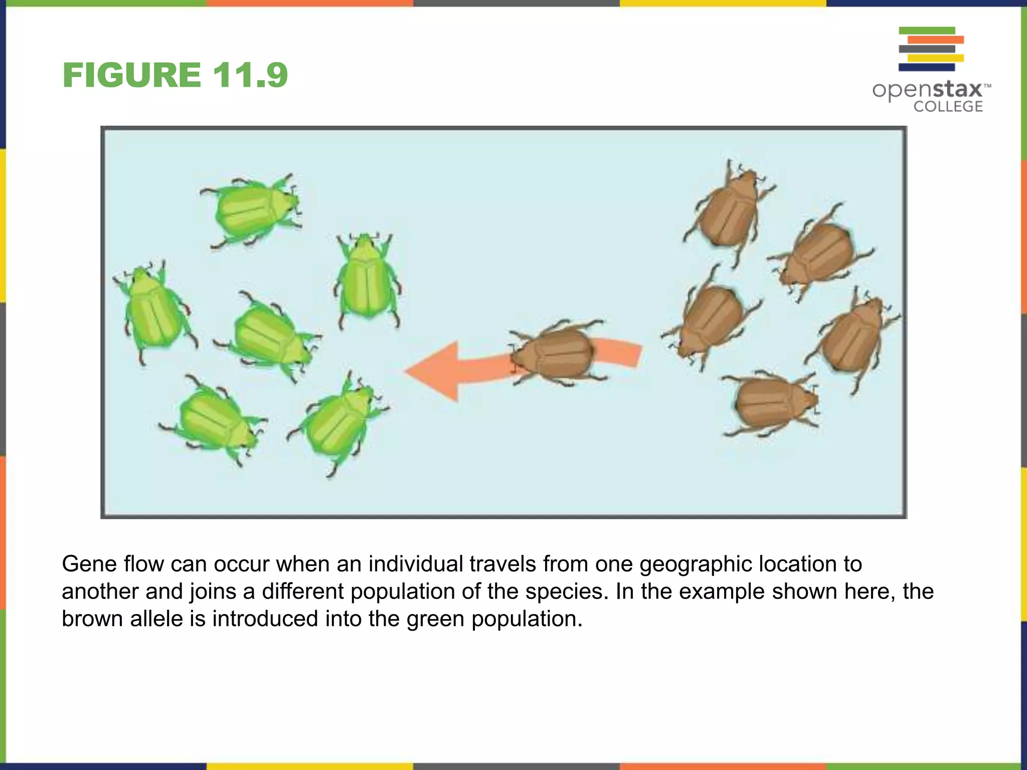 Open stax biology (nonmajors) ch11 | PPTX