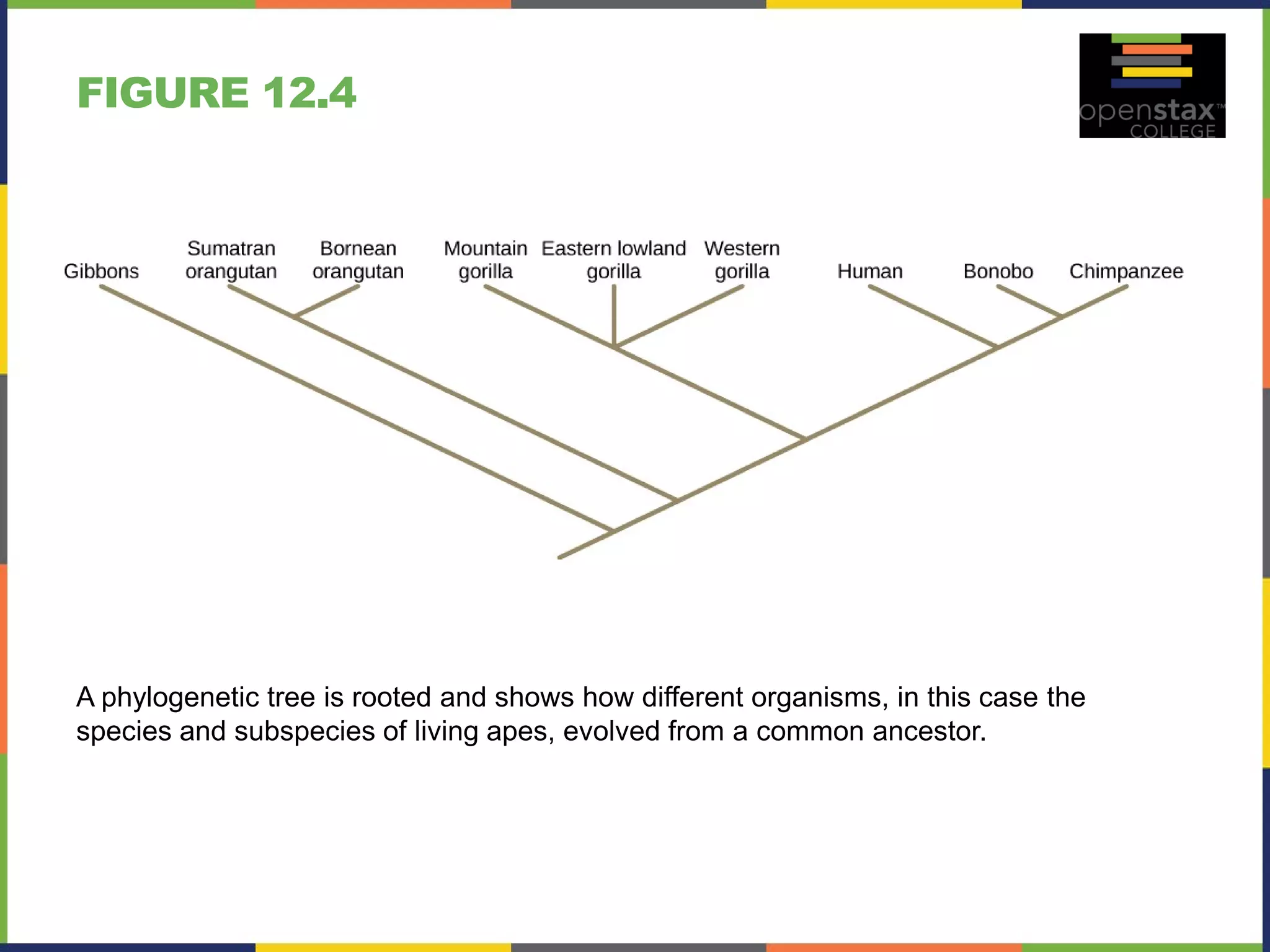 Open stax biology(nonmajors) ch12 | PDF